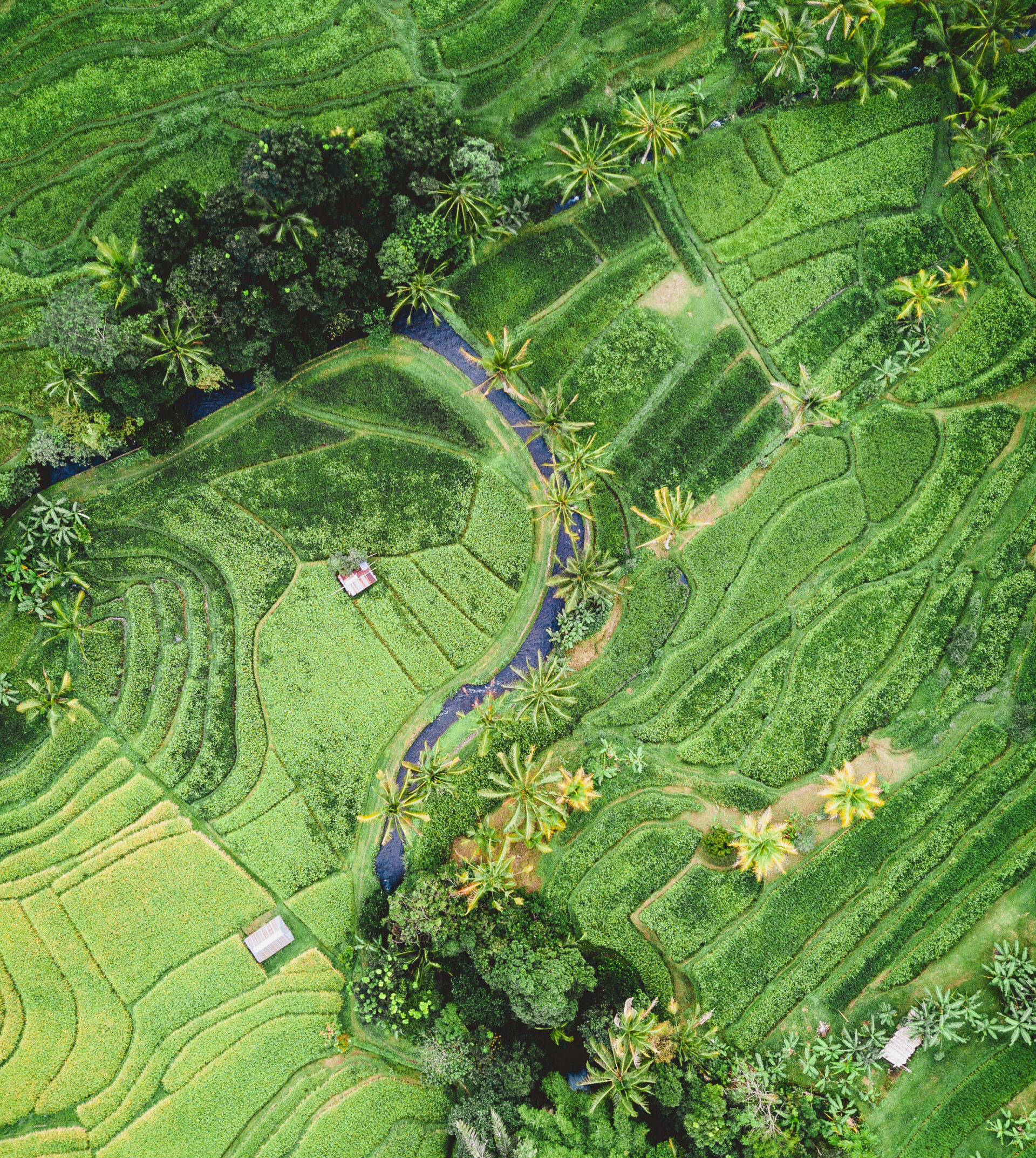 About us - Market Intelligence powered by farm AI Agvisory