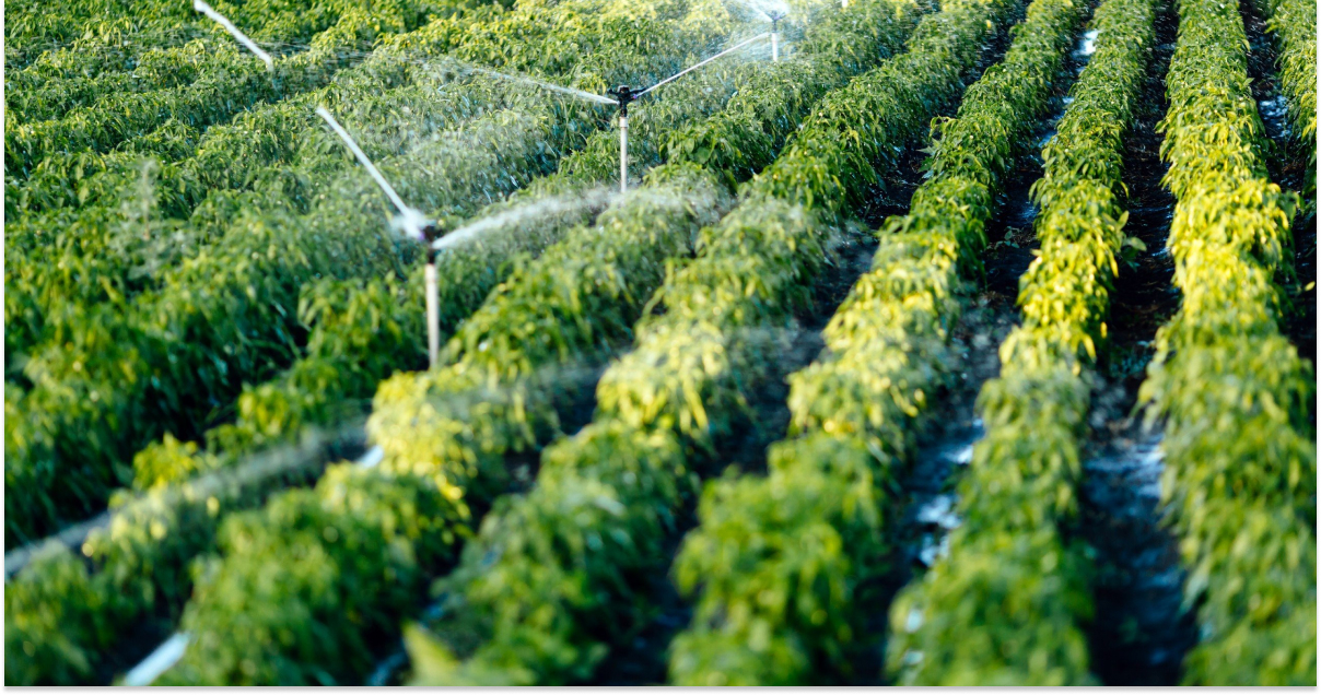 Efficient Agricultural Water Management Techniques - Market Intelligence powered by farm AI Agvisory