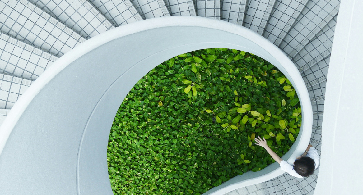 4 Green Bond Principles that Every Issuers Need to Know - Market Intelligence powered by farm AI ...